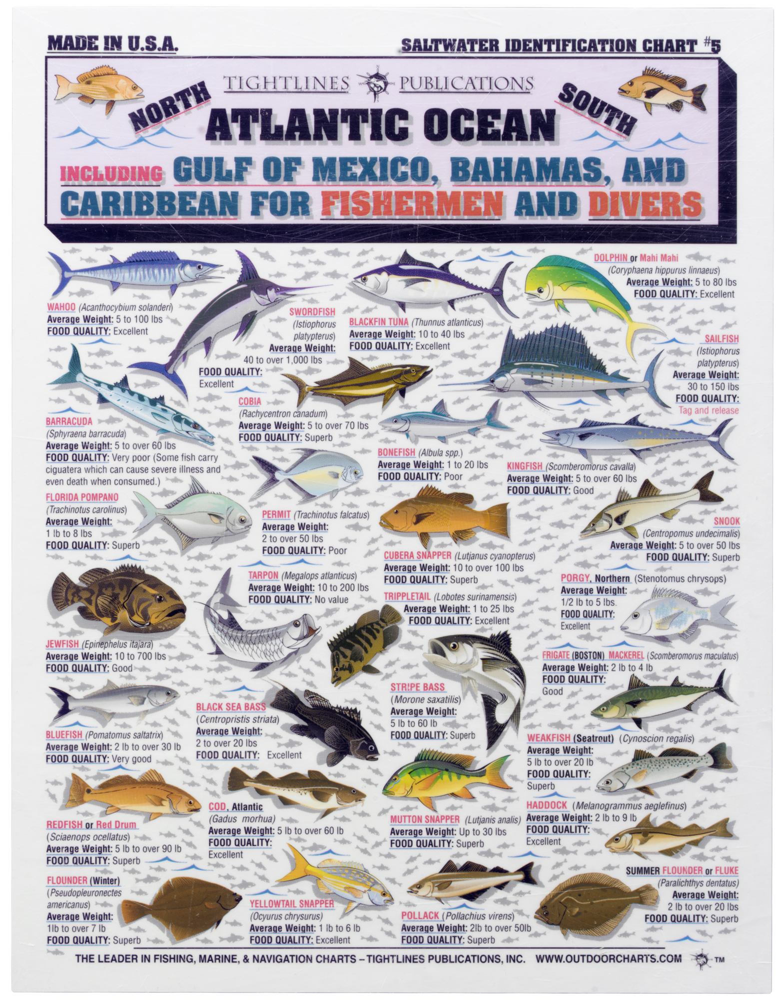 Waterproof Fish ID Charts for Saltwater | Cabela's